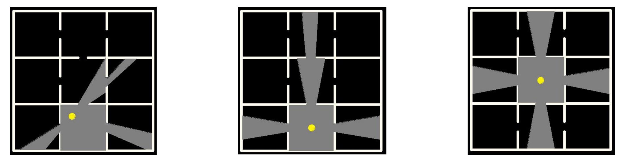 Diagram 1: examples of accessible visual fields (shown in