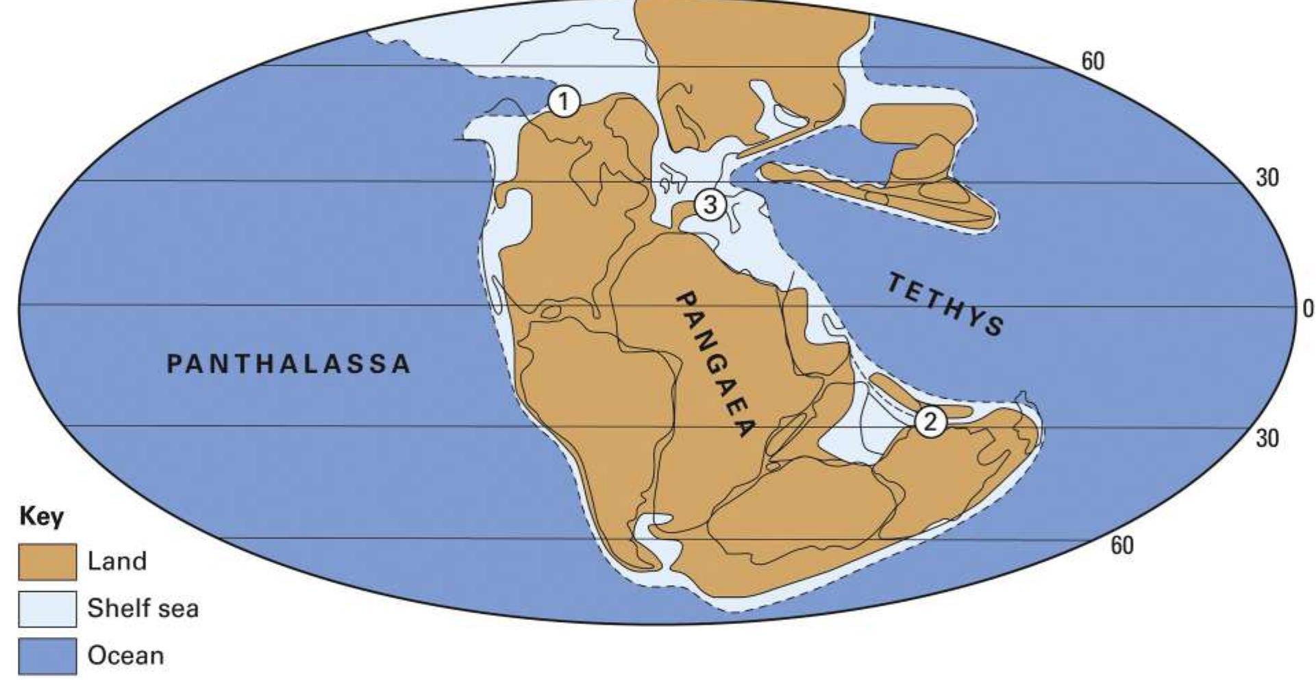 A palaeogeographic map for the late triassic epoch adapted