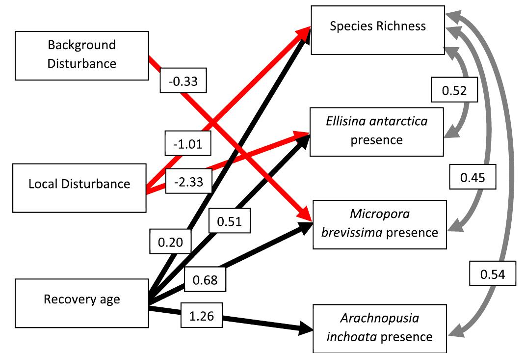 Path diagram of low-dispersal group model showing how