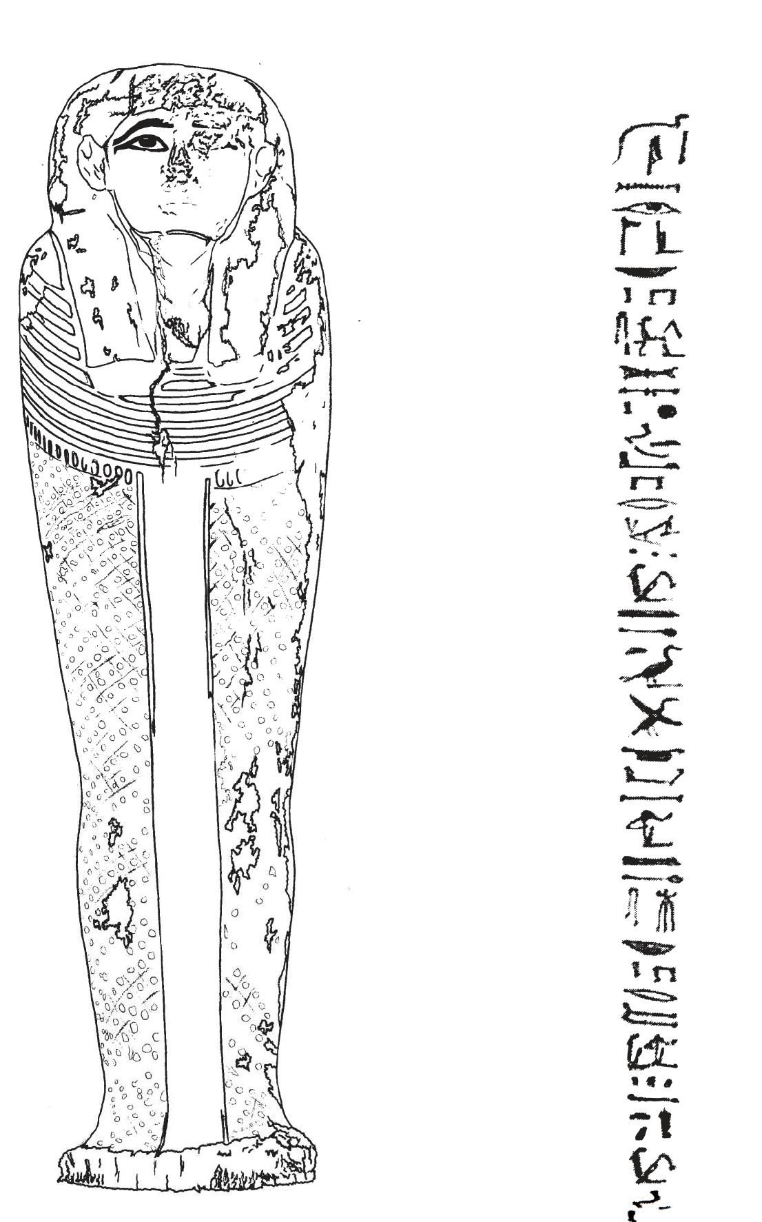 Front-side layout of the ptah-sokar-osiris specimen in the