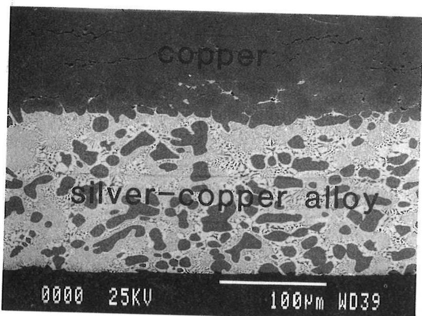 6. cross-section showing the microstructure of a silver