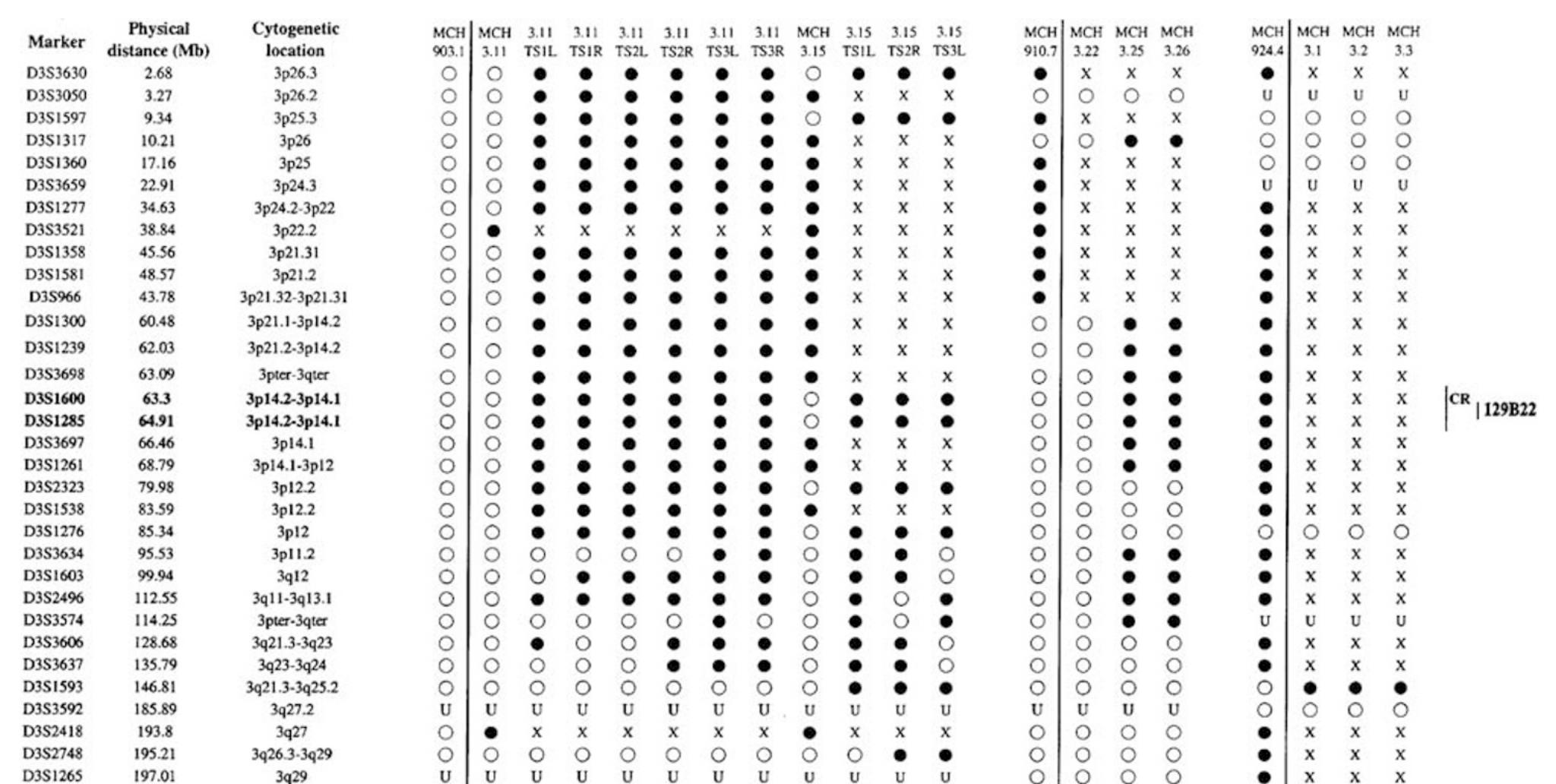 Microsatellite analysis of chromosome 3 donor cells, mchs,