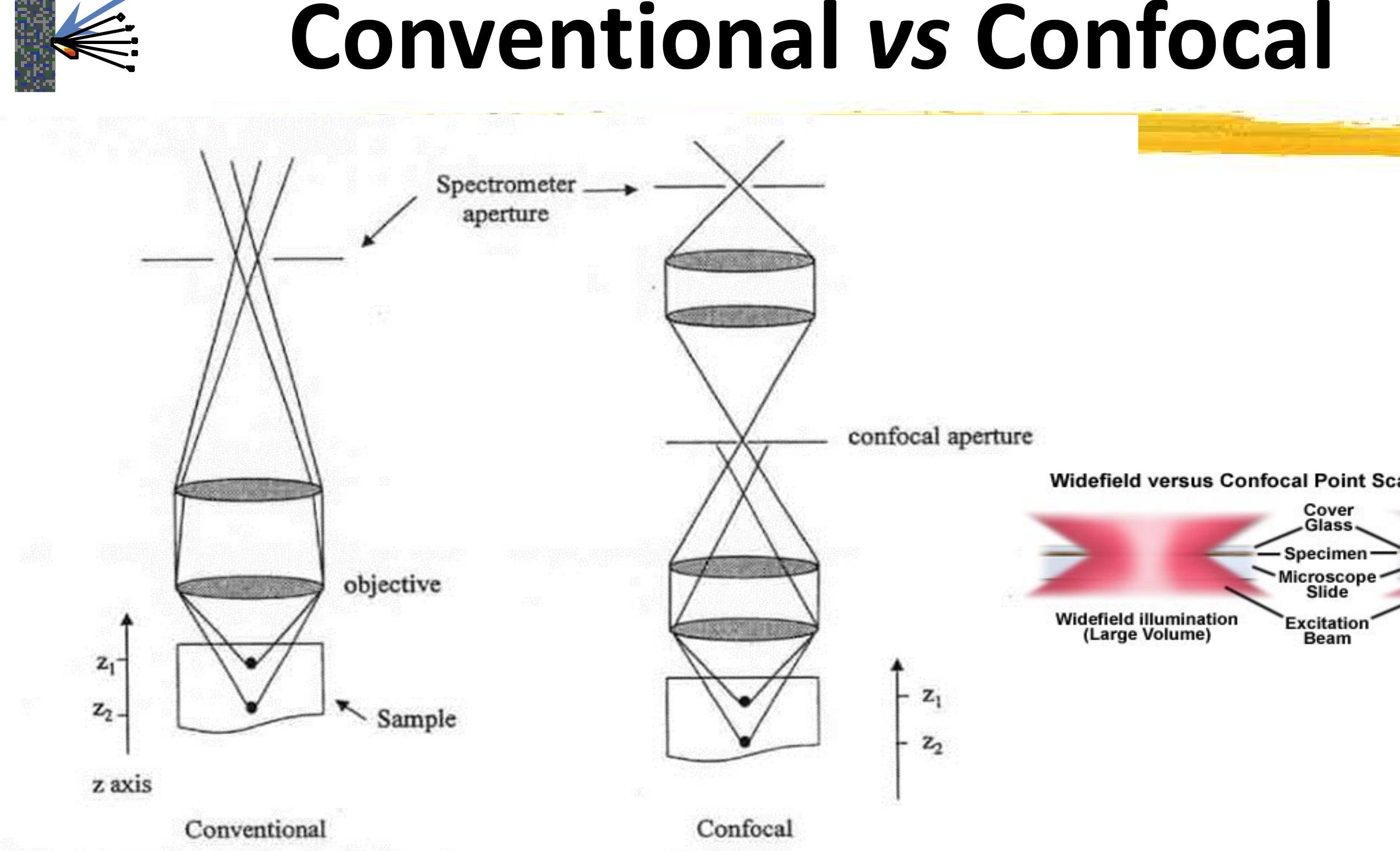 9. schematic of confocal microscope optics, showing addition