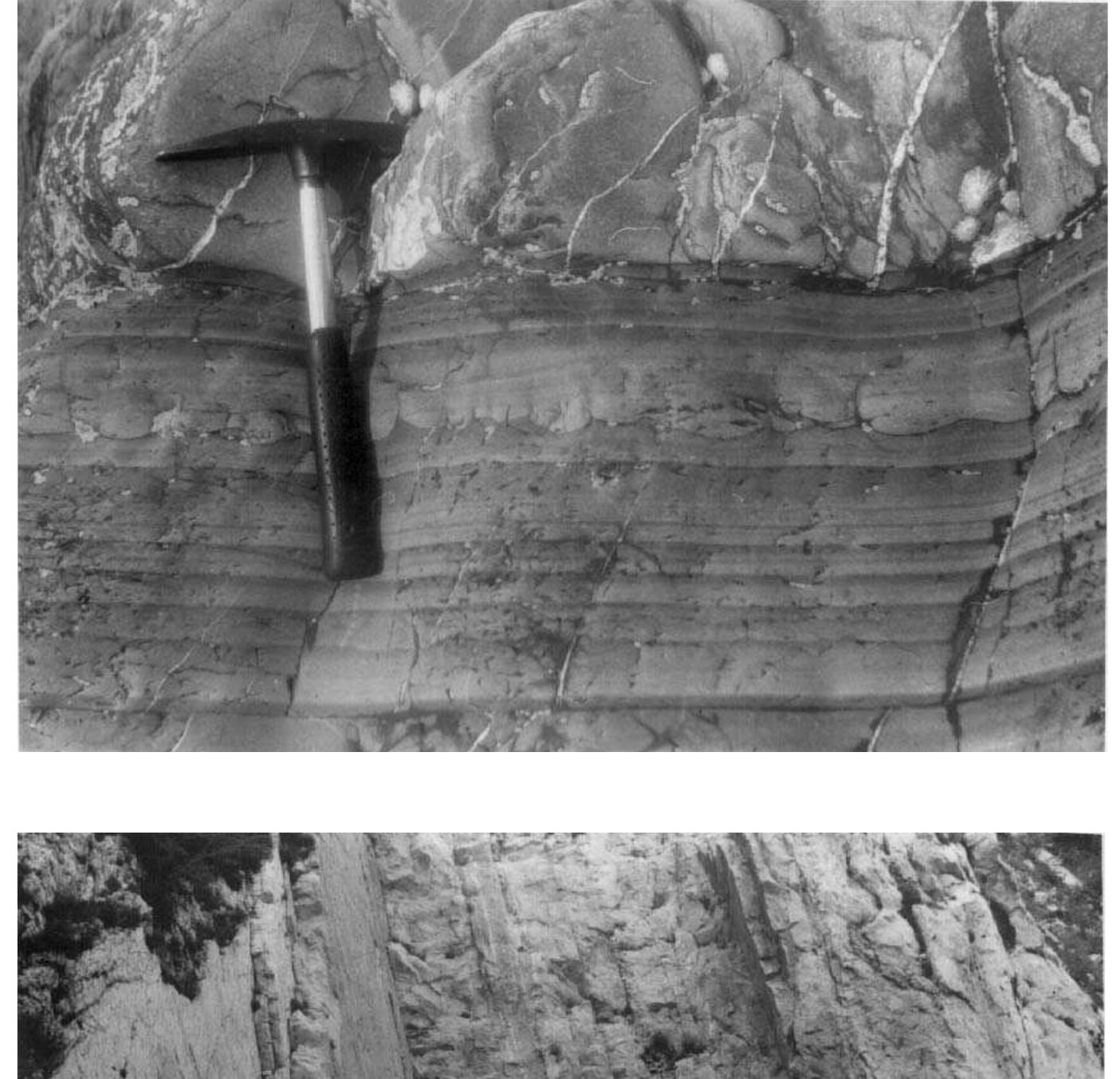 2 dipping beds in teruel province, spain. a: cretaceous