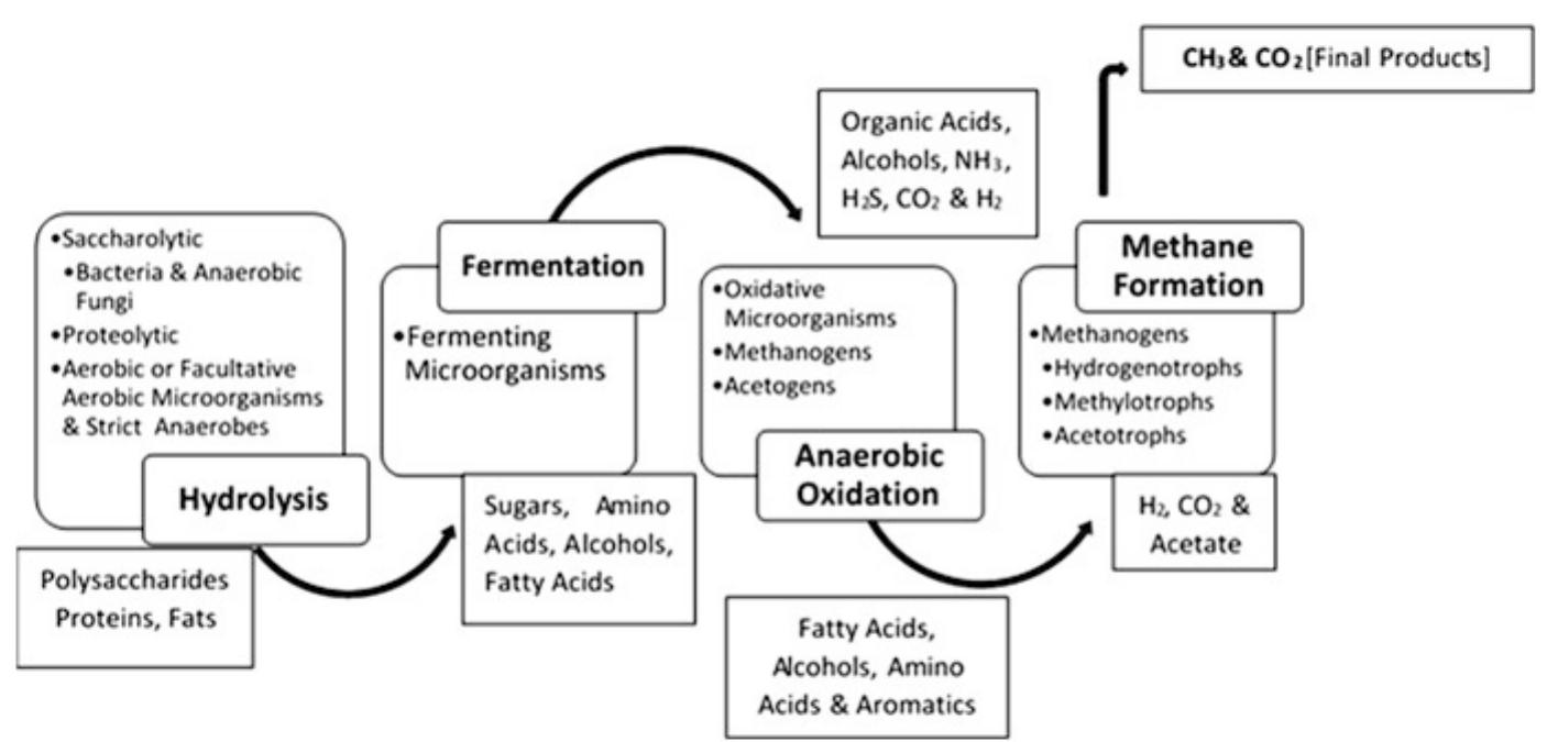 The flow diagram above is an illustration of the whole