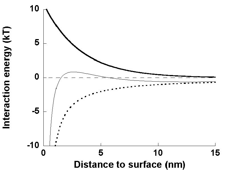 Electrostatic repulsive (thick line), van der waals