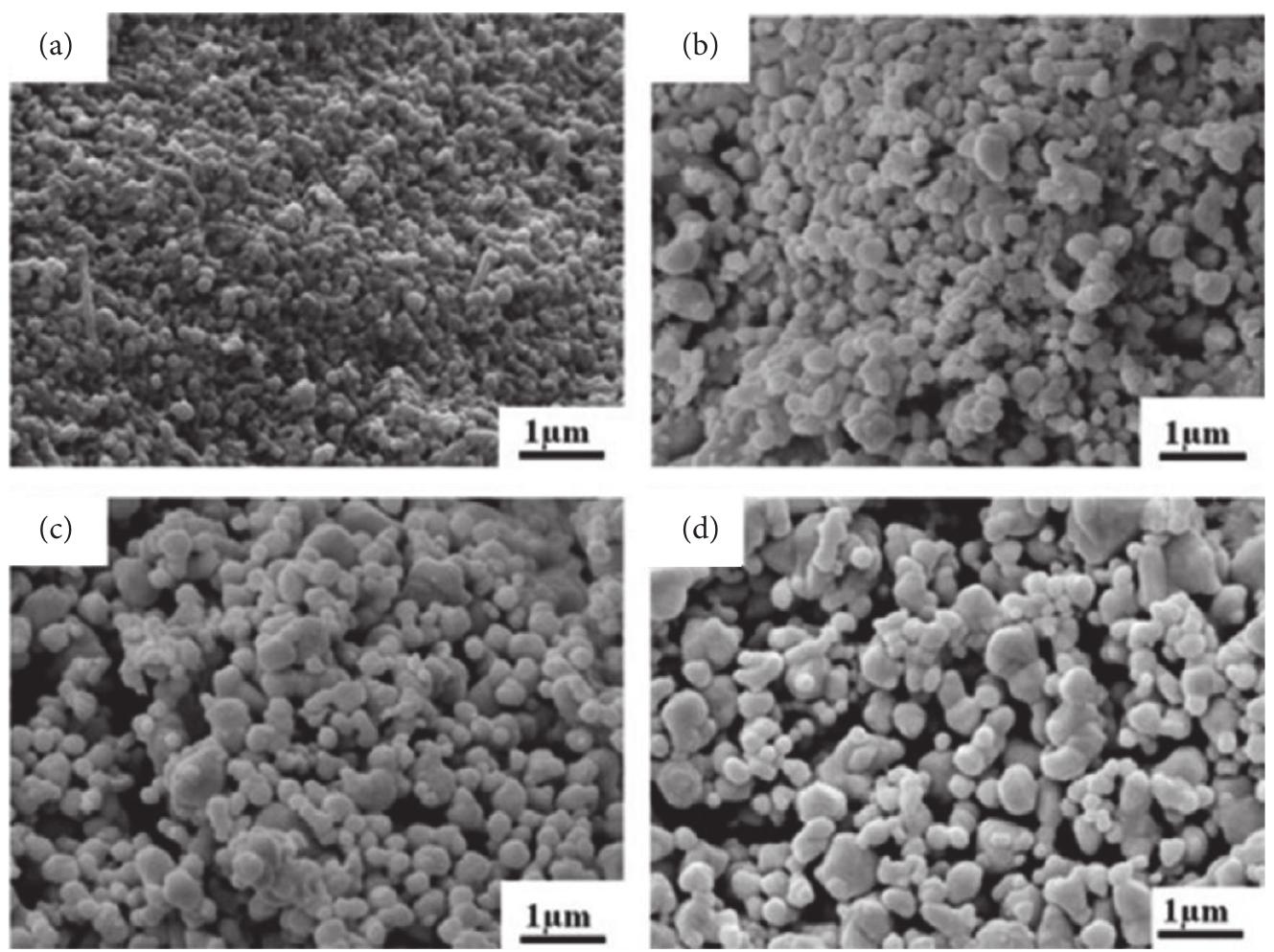 Scanning electron microscope (sem) images of ag,o nps [36].