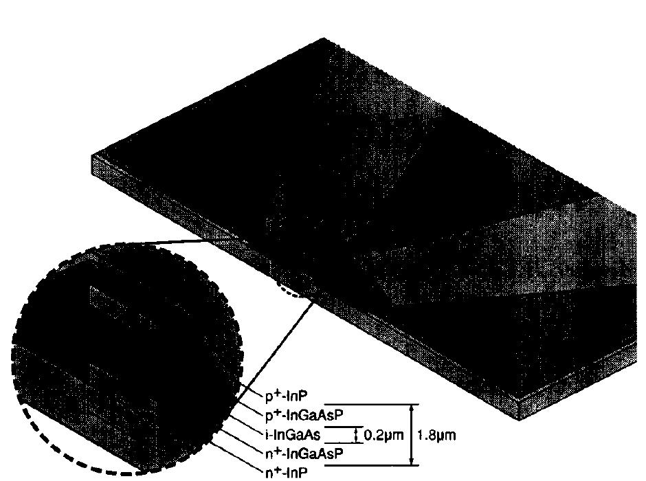 Schematic viewgraph of the mushroom-mesa multimode waveguide