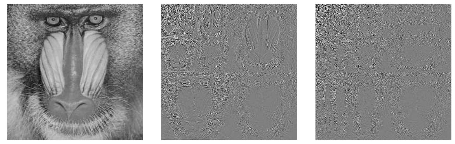 Presents baboon — the one of 256 x 256 x 8 grey-level test