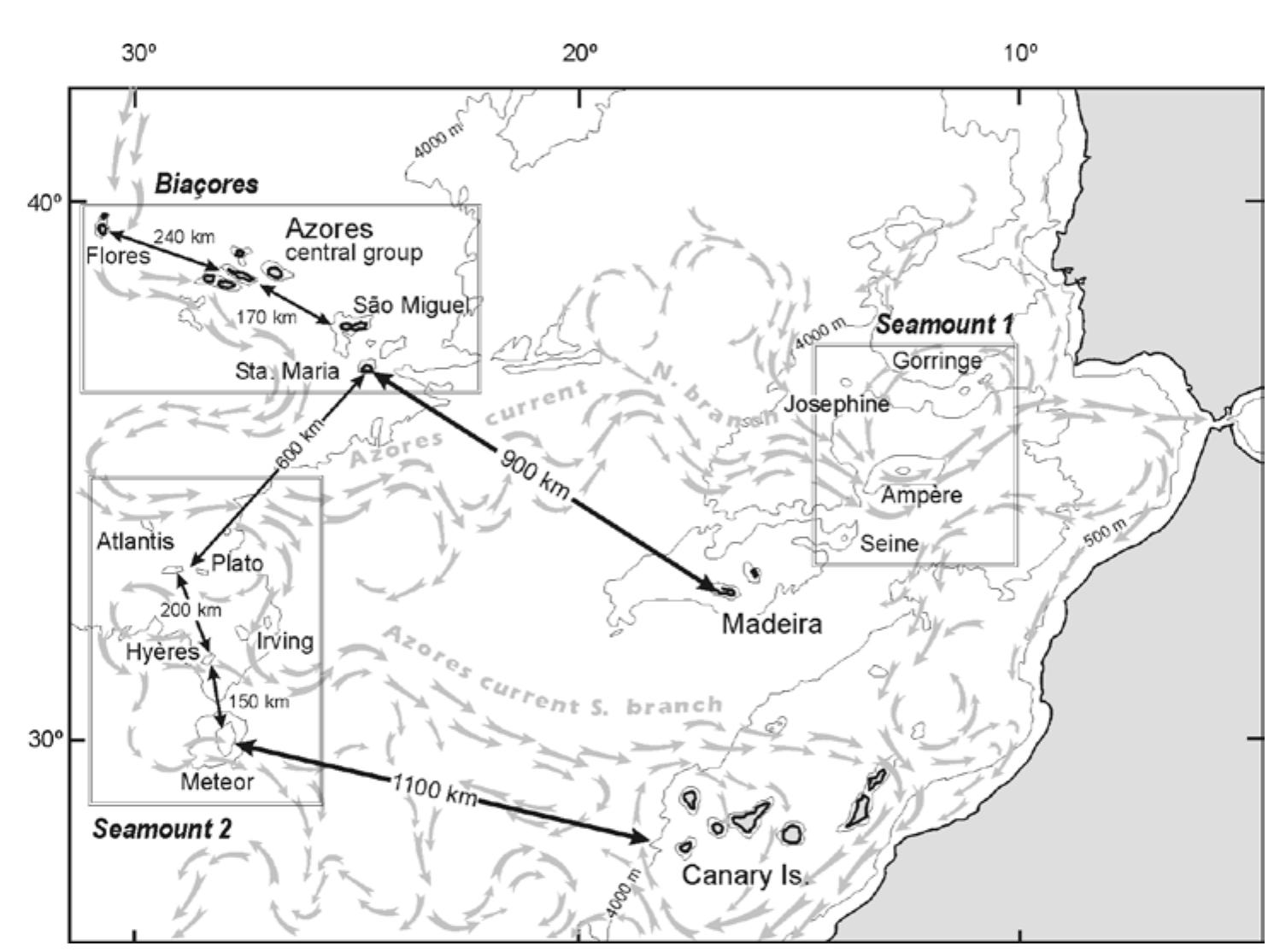 Map showing the location of the northeast atlantic seamounts