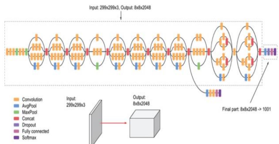Basic inception cnn architecture. networks that comprise