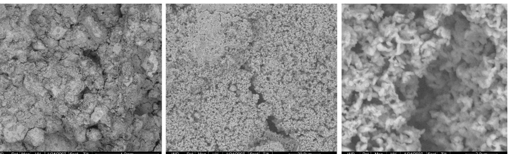The scanning electron microscope gives information about the