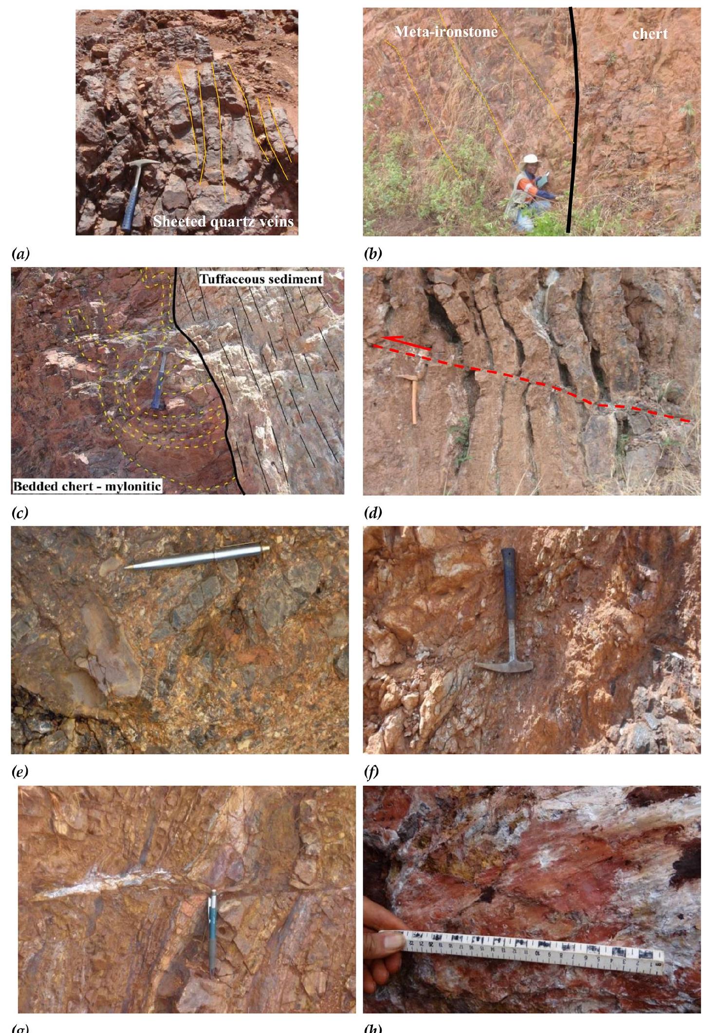 Examples of shear zones in the kukuluma terrain: (a) closely