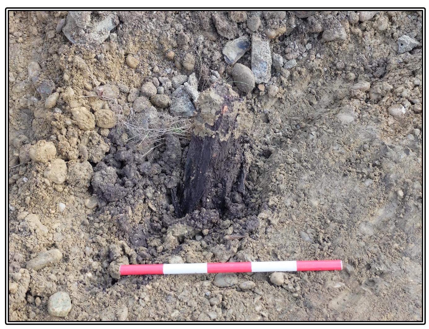 Oe ee timber post found in the embankment fill behind the