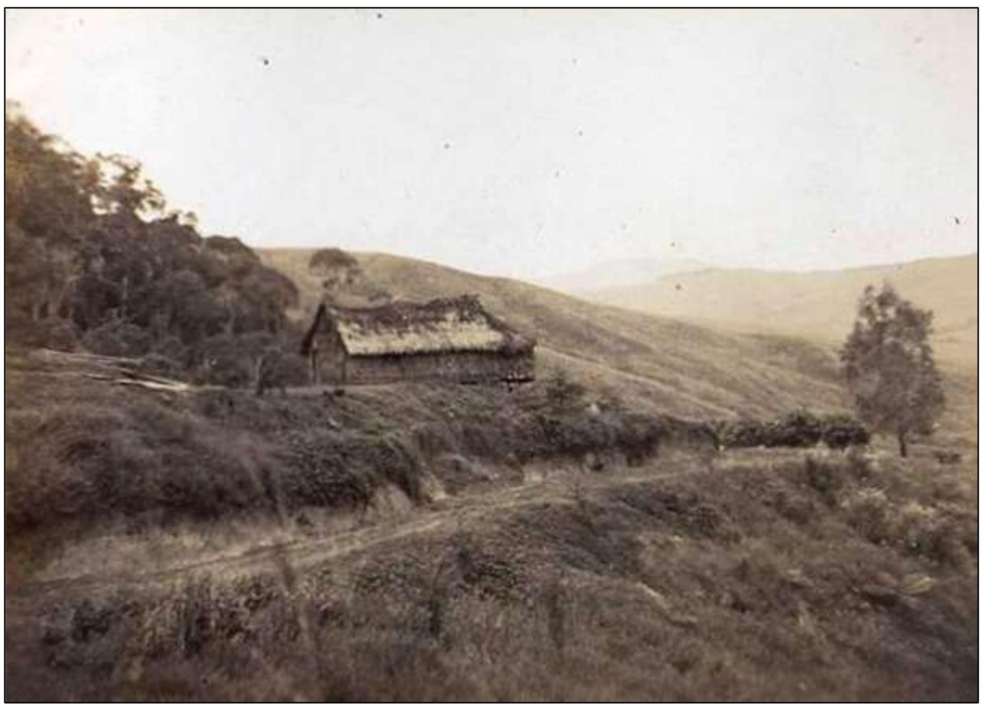Professor schindler’s house in aiyura valley (photo courtesy