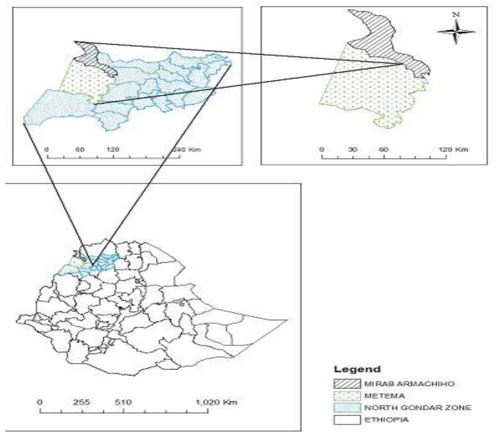Figure 1 - from Assessment of Sesame Bacterial Blight