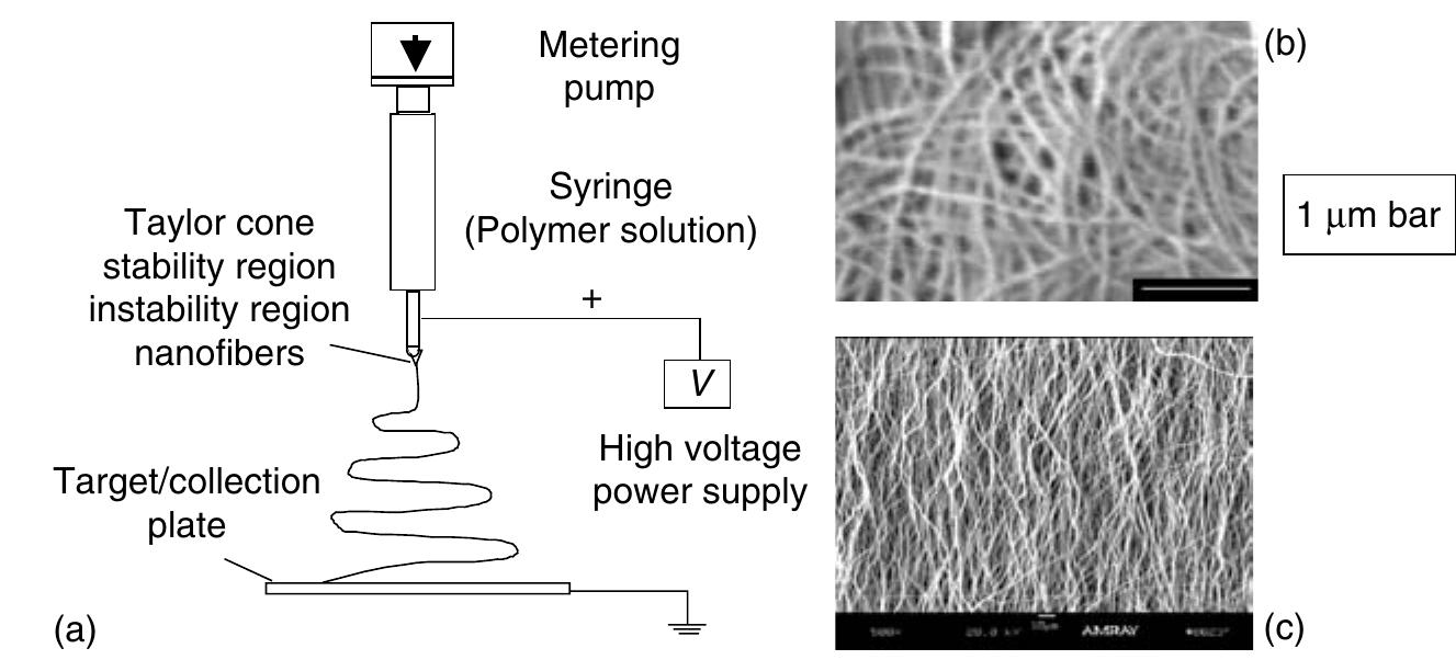 1 (a) schematic drawing of the electrospinning process. (b)