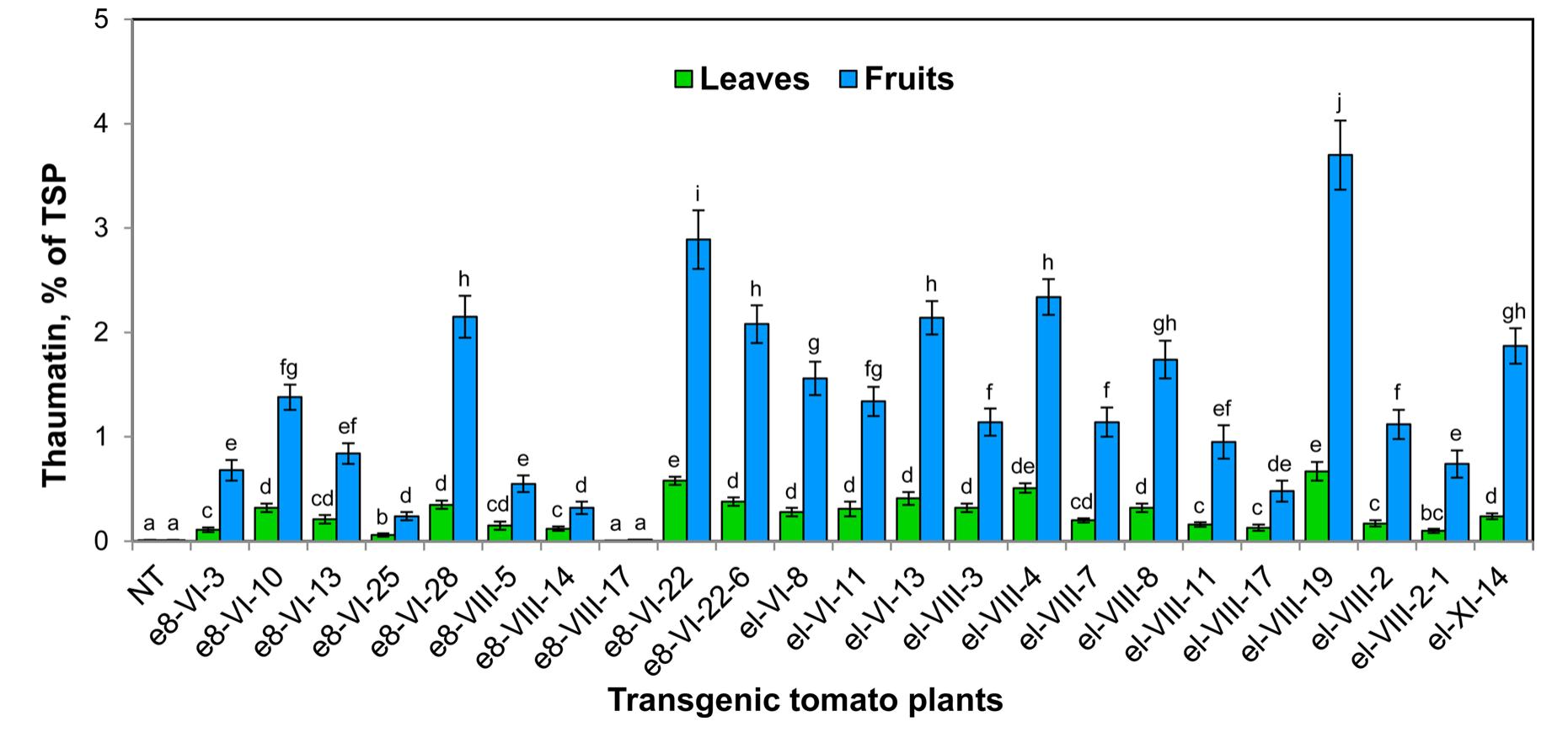 Quantitative enzyme-linked immunosorbent assay for thau-