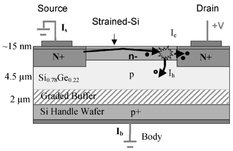 Schematic cross section of the ii test structure used in