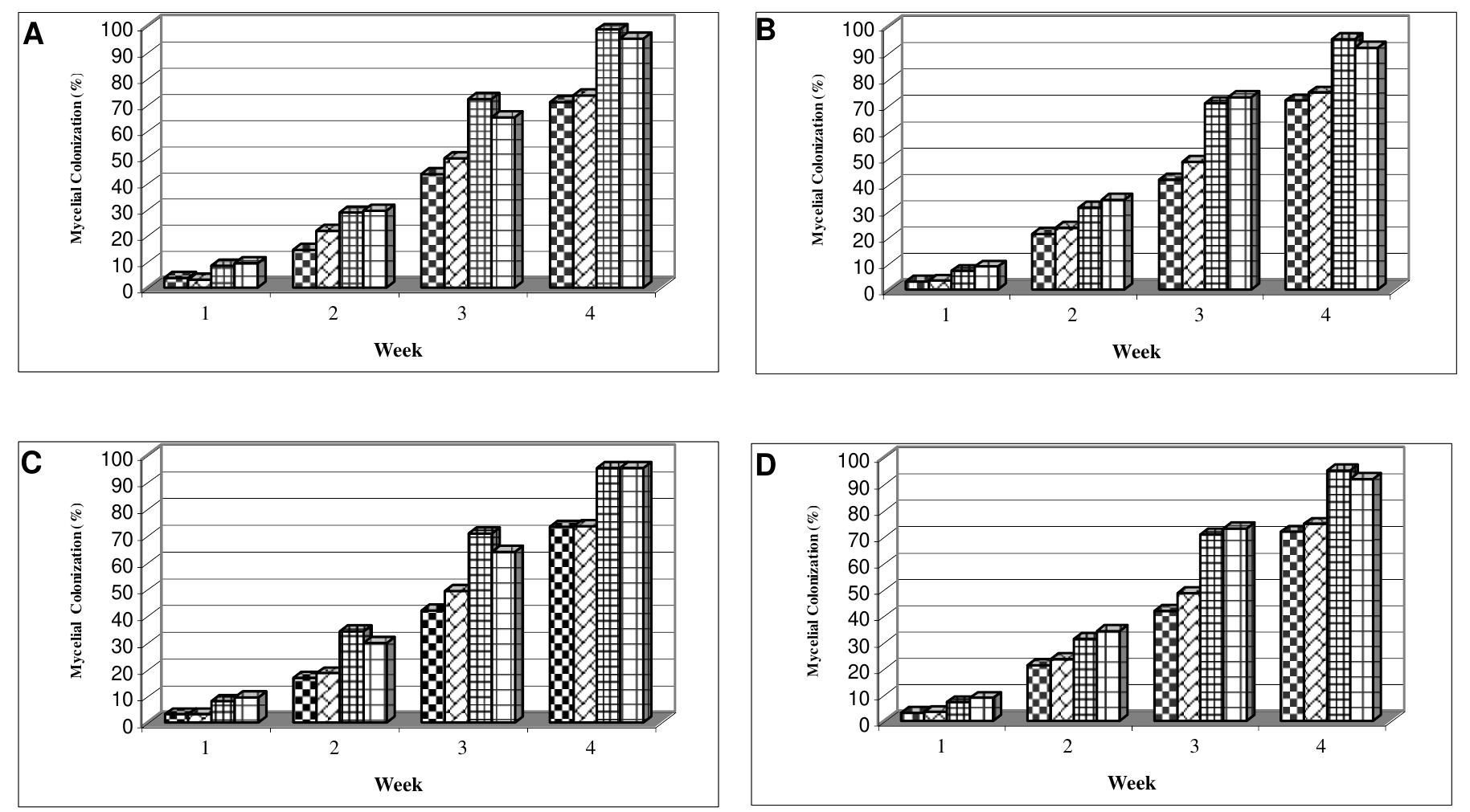 Fal rice bran + sorghum seeds rice bran + chopped acacia