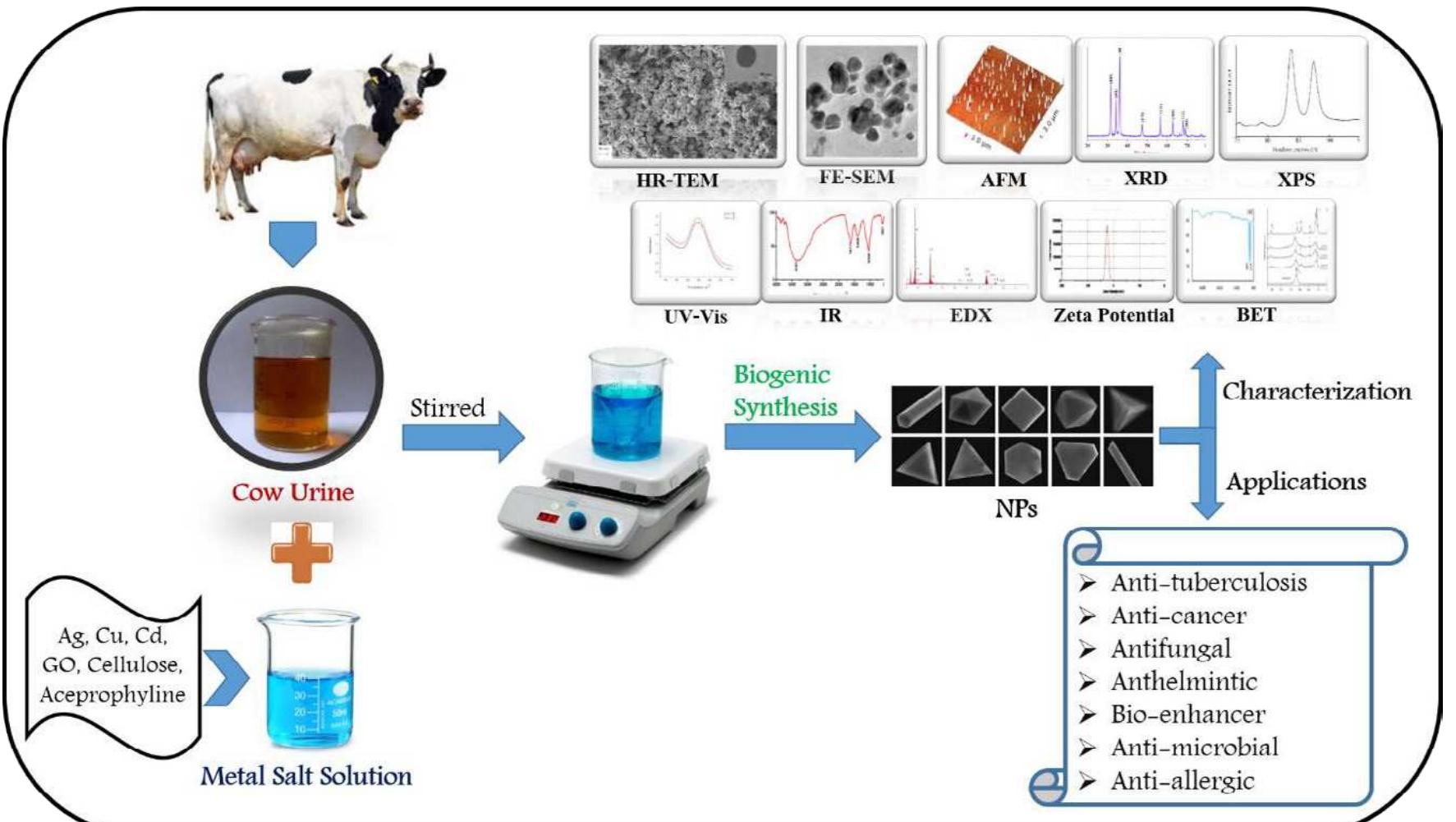 Biogenic synthesis of nms from cow urine and their uses