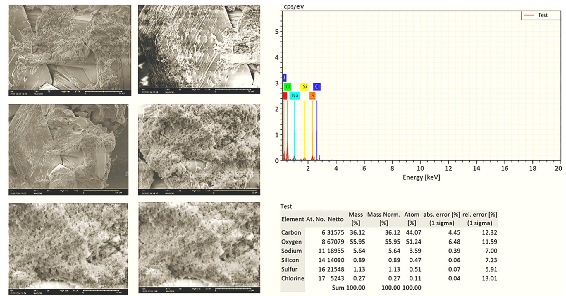 Sem-eds of the surface texture of microplastics collected