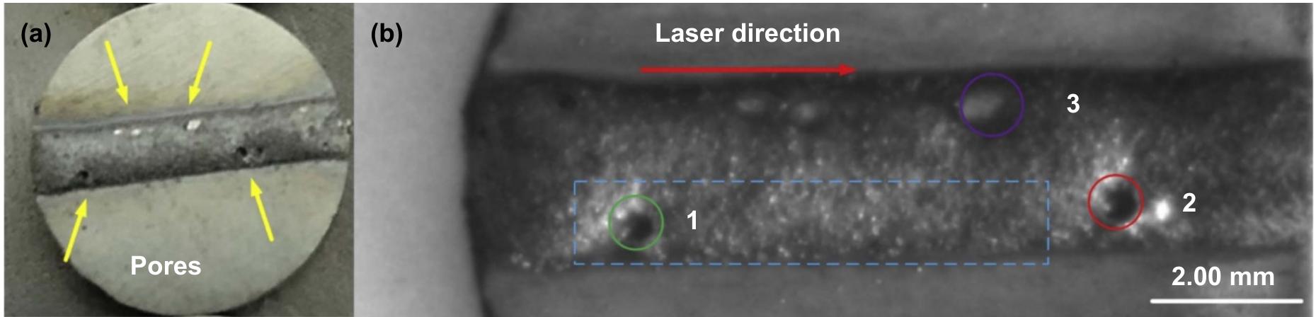 Morphology of a single-track. (a) top view showing the pore