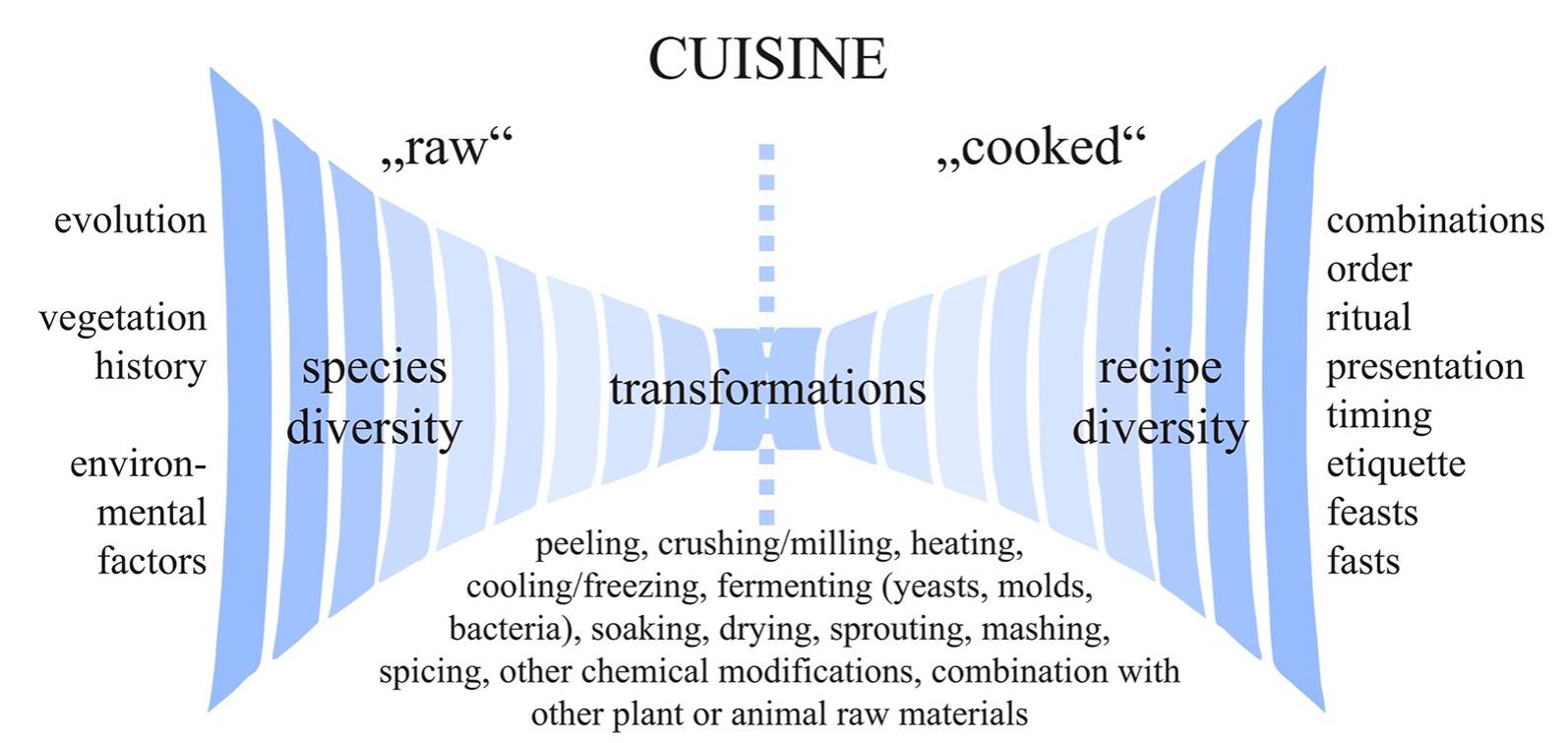 Cuisine, the art of cooking, illustrated as a space of