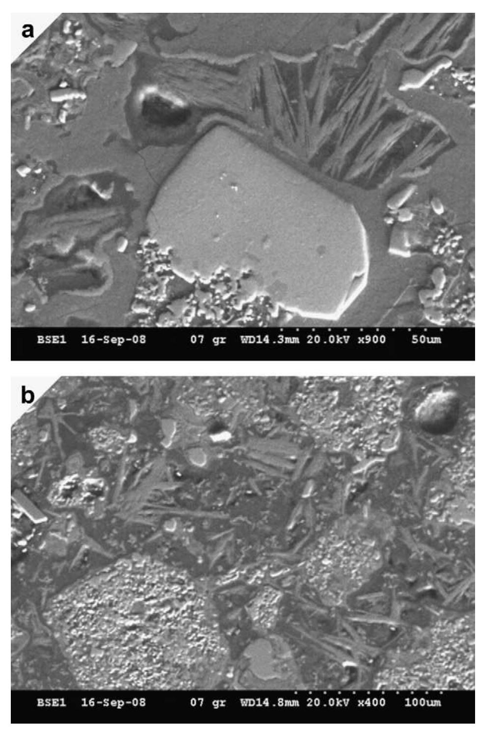 Backscattered scanning electron microscope images, wall