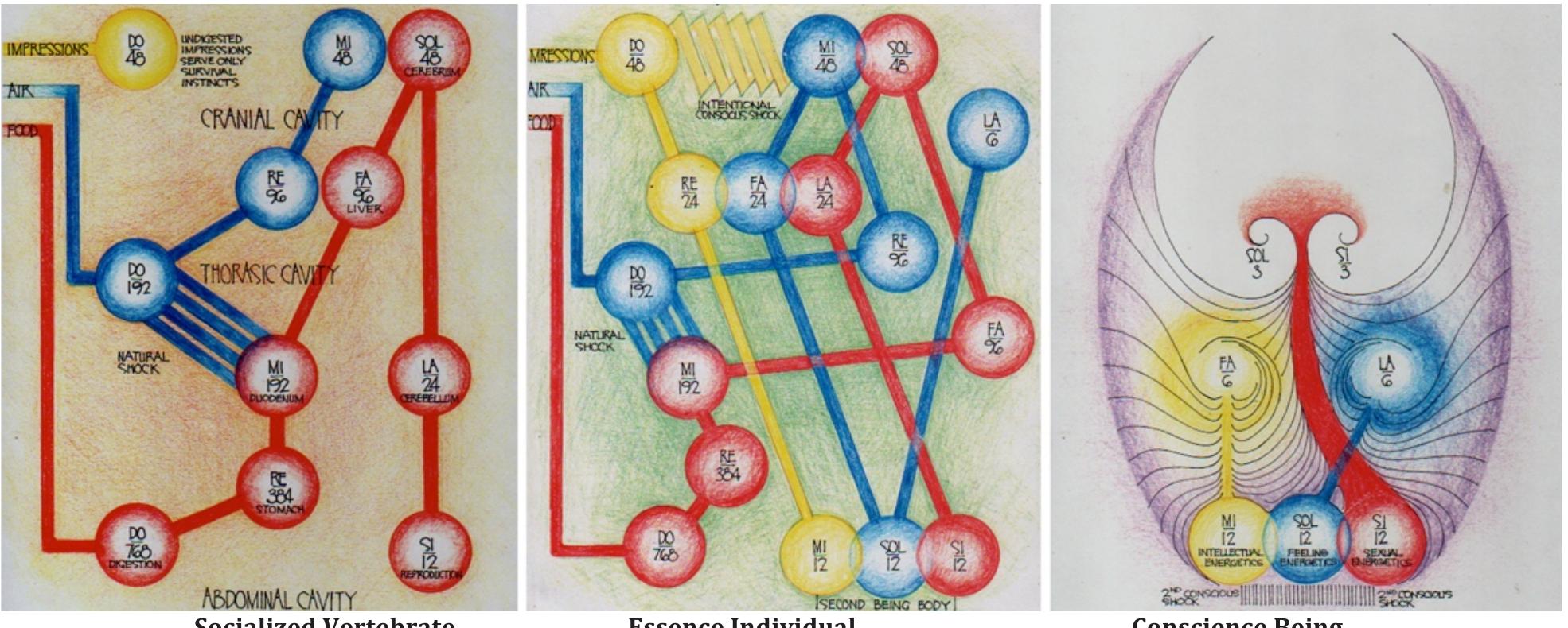 ‘ig. 6 chemistry diagram: organic life obtains by means of