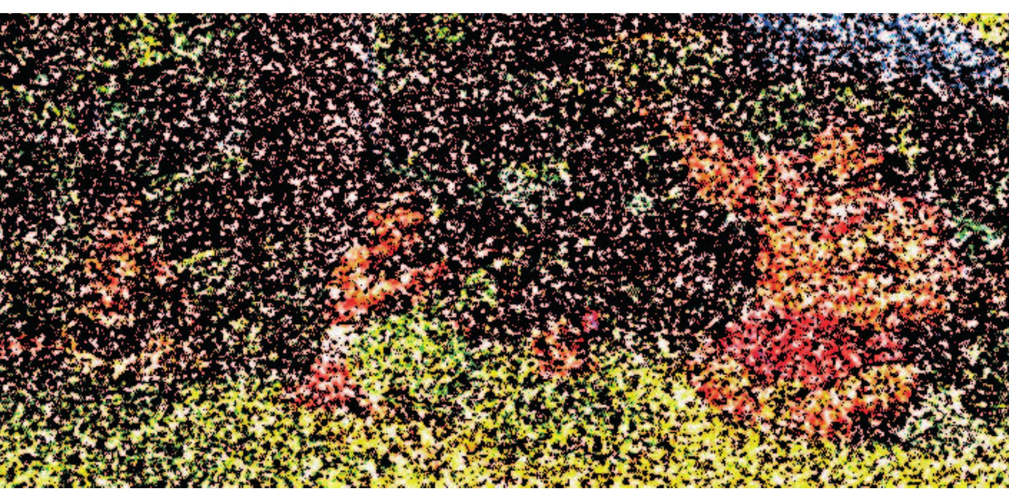 Figure 3 - from Moana made waves: Discussing the