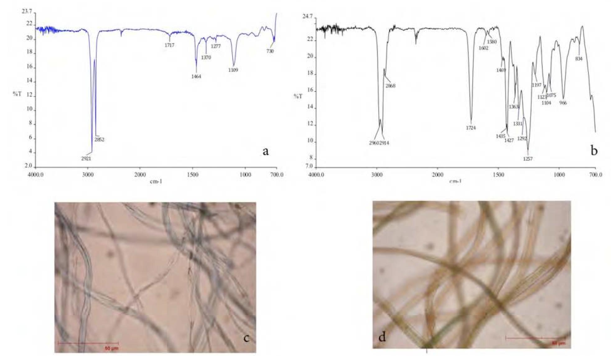 A) ftir spectra of pe obtained from the body of doll (a), b)