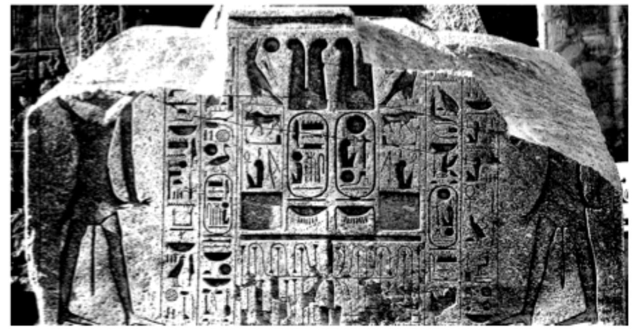 The 14 digits module shown in the table above has no