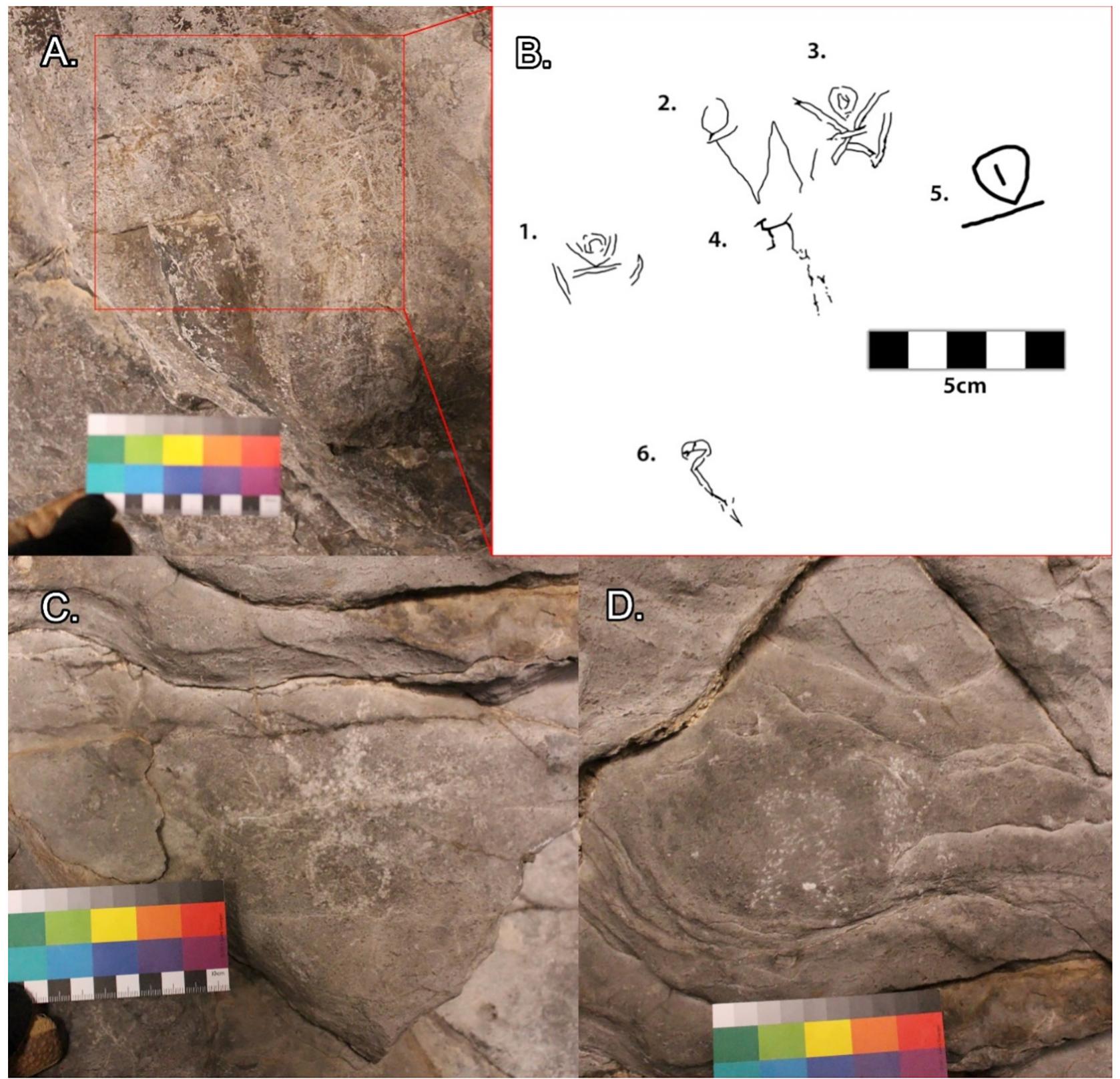 Petroglyphs from gazar agui 1. (a, b) outlines of engravings