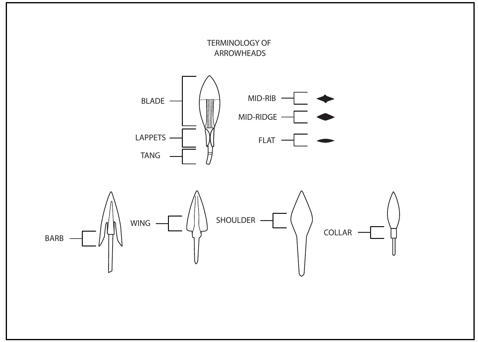 1 terminology used to describe arrowheads in this typology.