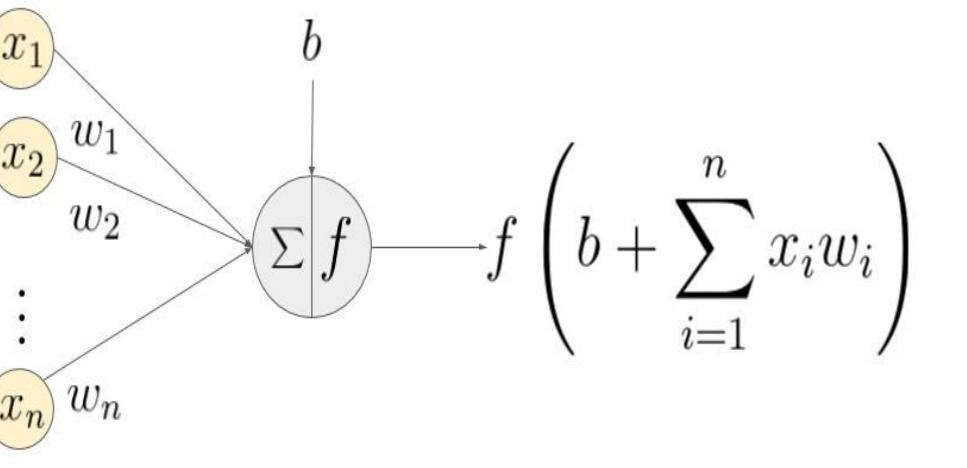An example of a neuron showing the input ( x, - x, ), their