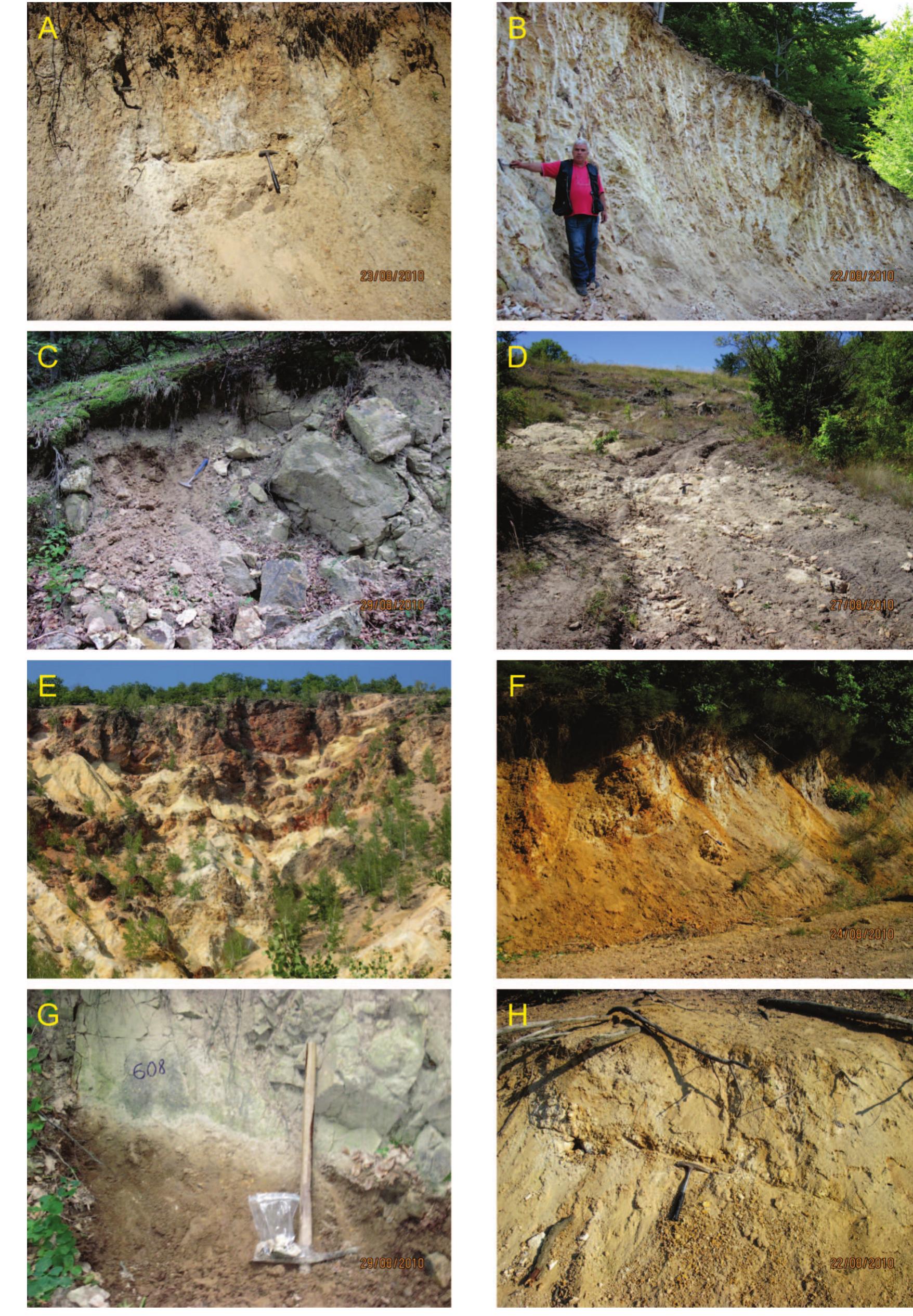A — andesitic tuff (mejanske planine); b — limonitized and