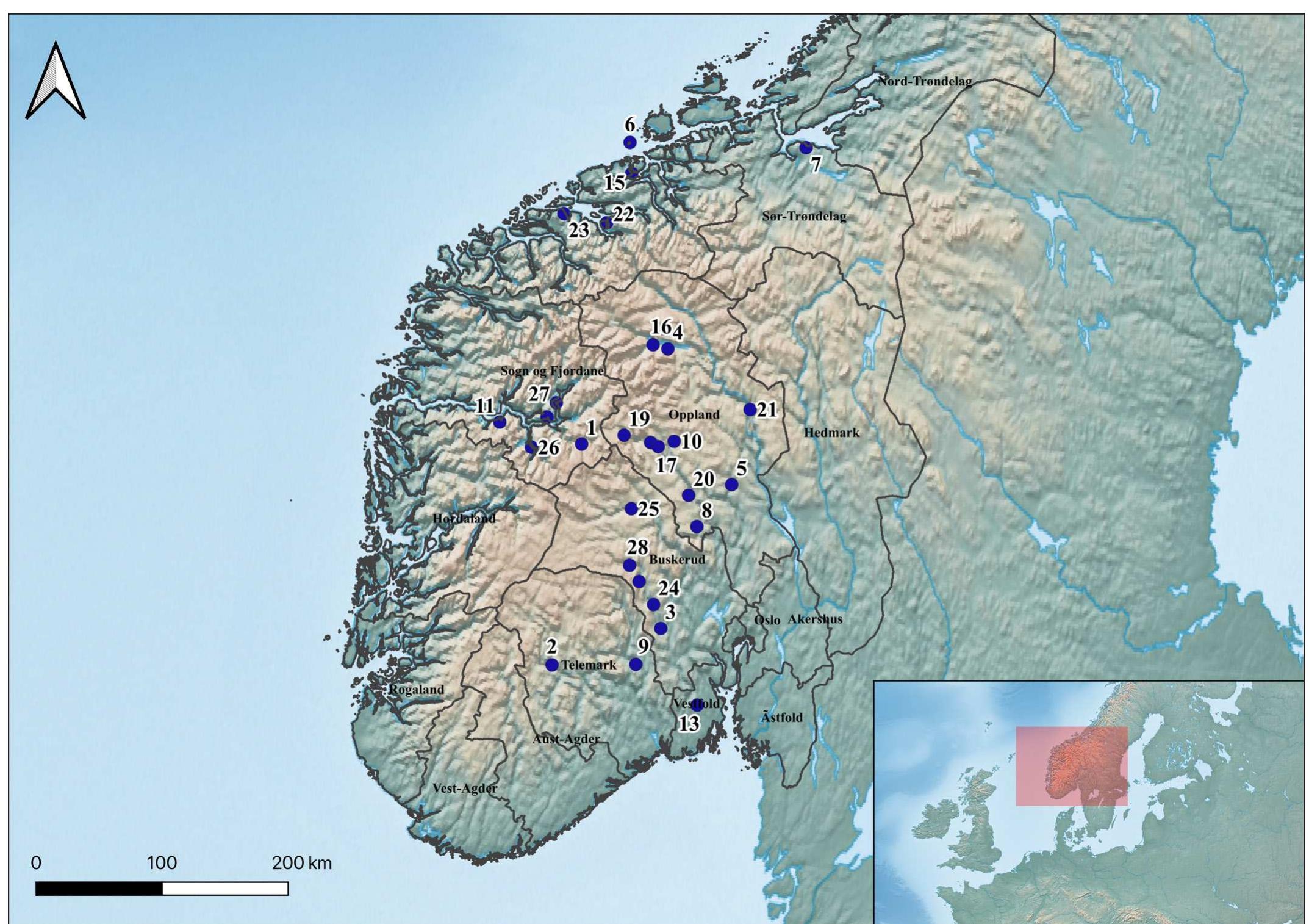 Figure 3 - from Medieval Norwegian Wooden (Stave) Churches:
