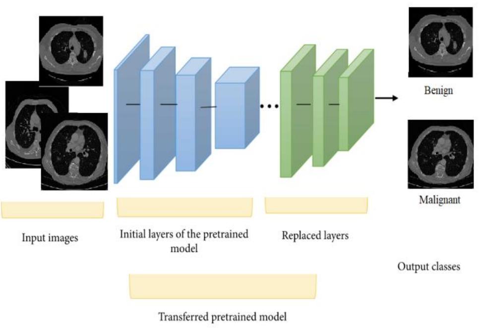 2 transfer learning process using pre-trained models