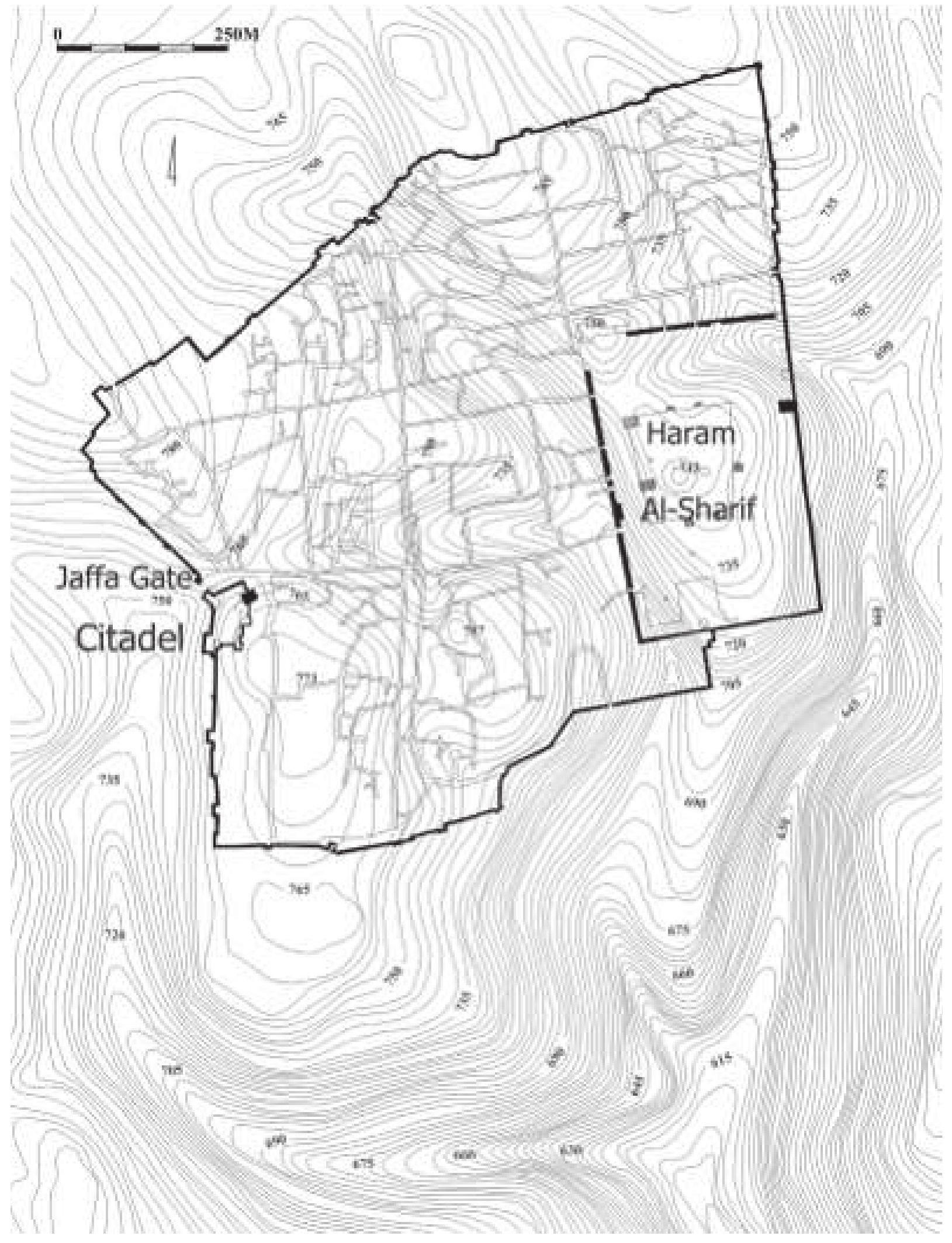 Topographic plan of the old city of jerusalem showing the