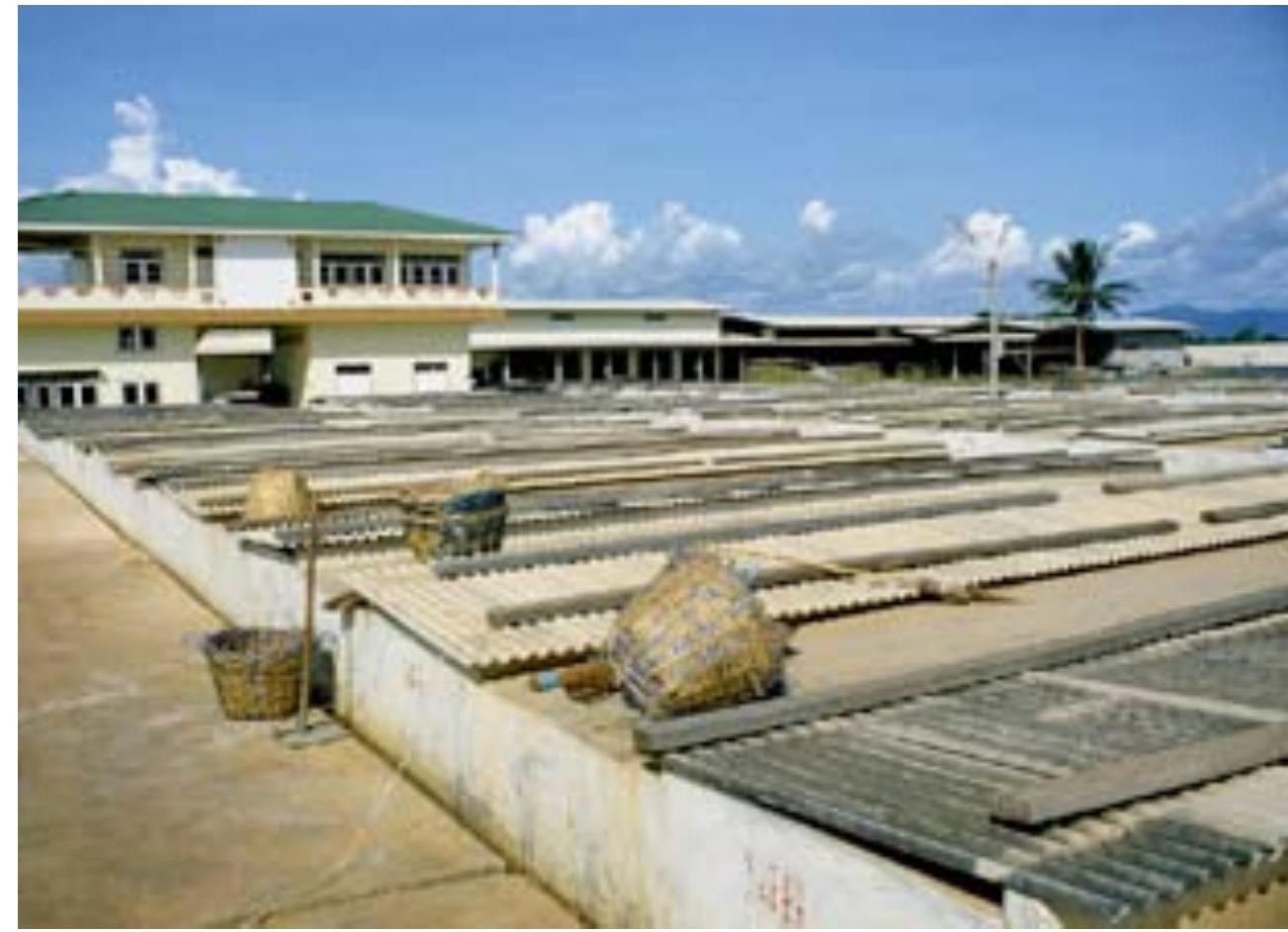 Concrete fermentation tanks at a modern fish sauce factory