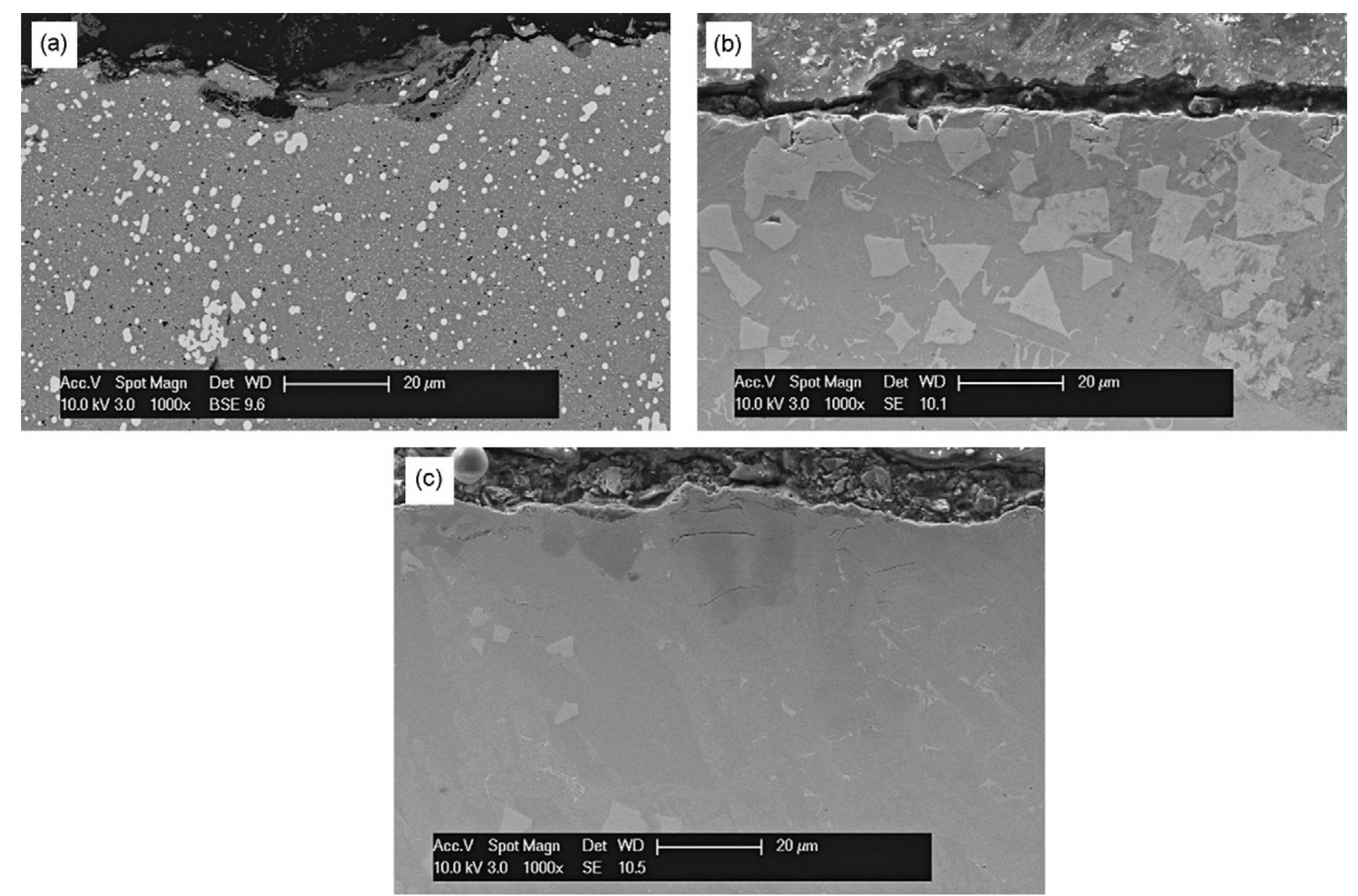 Sem images showing the transverse section of the eroded