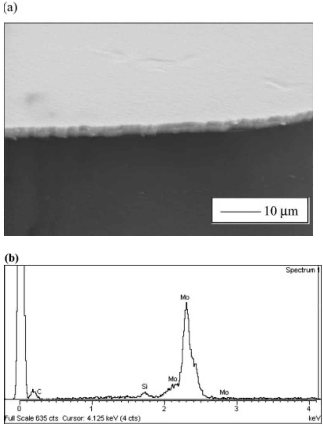 The sem micrograph of (a) a fractured cross section and (b)