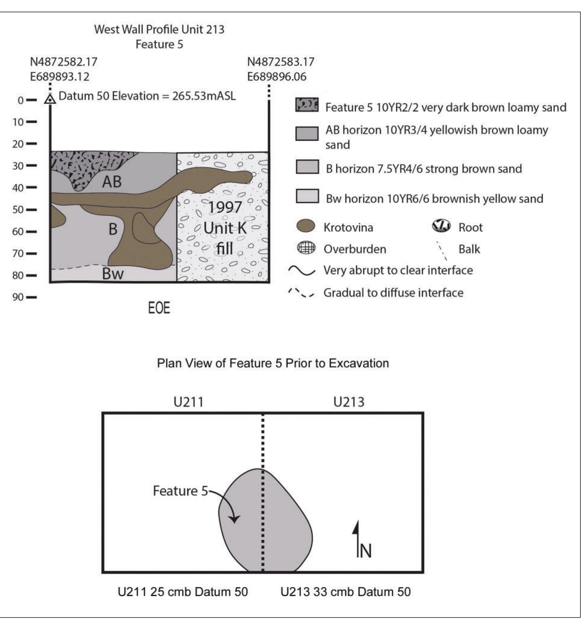 Profile and plan drawings of feature 5, showing the