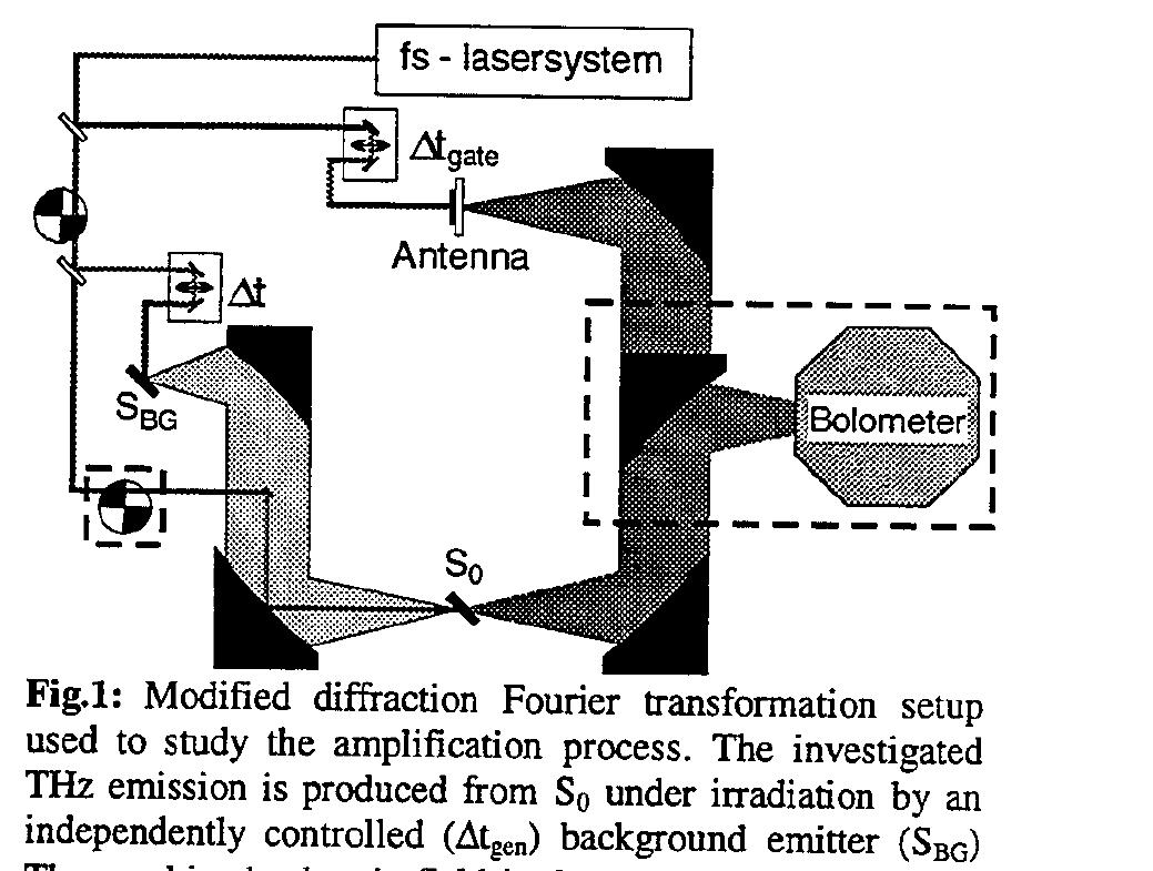 The basic amplification process is based on the