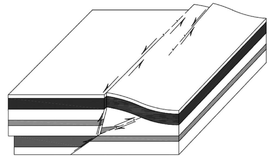 A conceptual model of faulted sedimentary strata used to