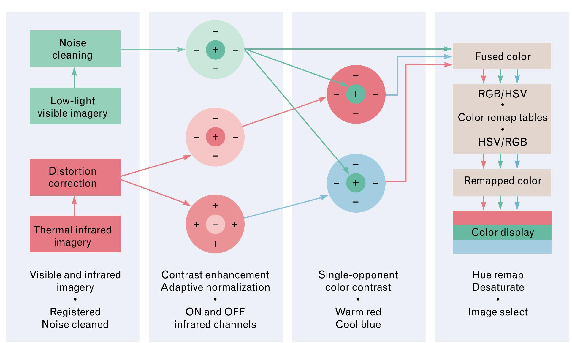 Neurocomputational architecture for the fusion of low-light