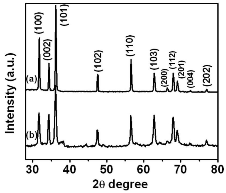 Xrd pattern for (a) bulk zno powder and (b) zno-tg nanopar-