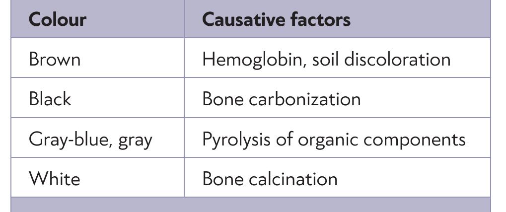 Color change to burned bone and causative factors (adapted
