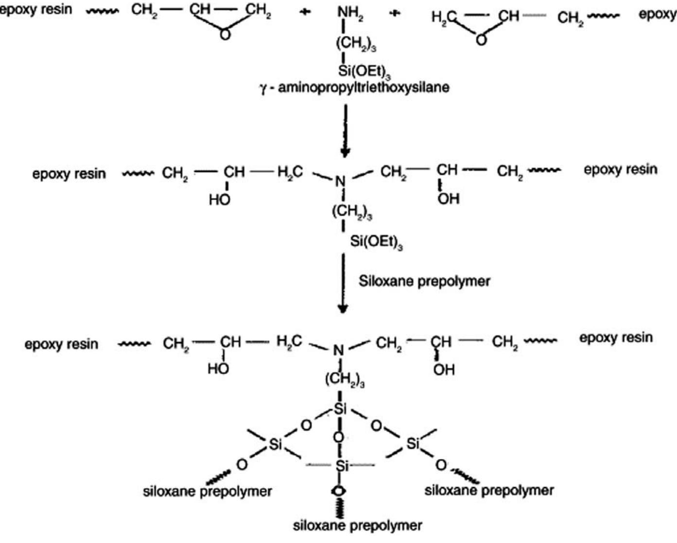 |. formation of siliconized epoxy tpn structure.